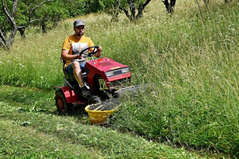 Pieejamība: Pasūtot